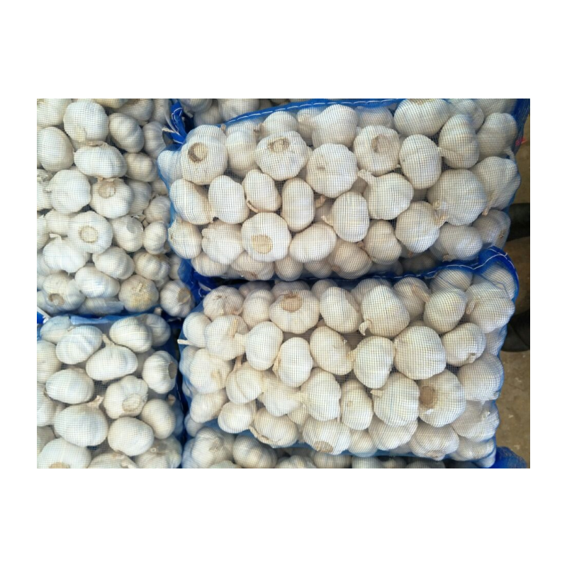 Wholesale New Fresh Garlic Supplier Normal White Garlic Manufacturer ...