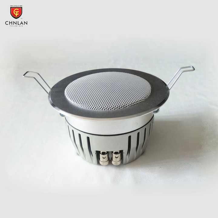 Mini Hifi Sound 20W Ceiling Speaker - Professional Quality