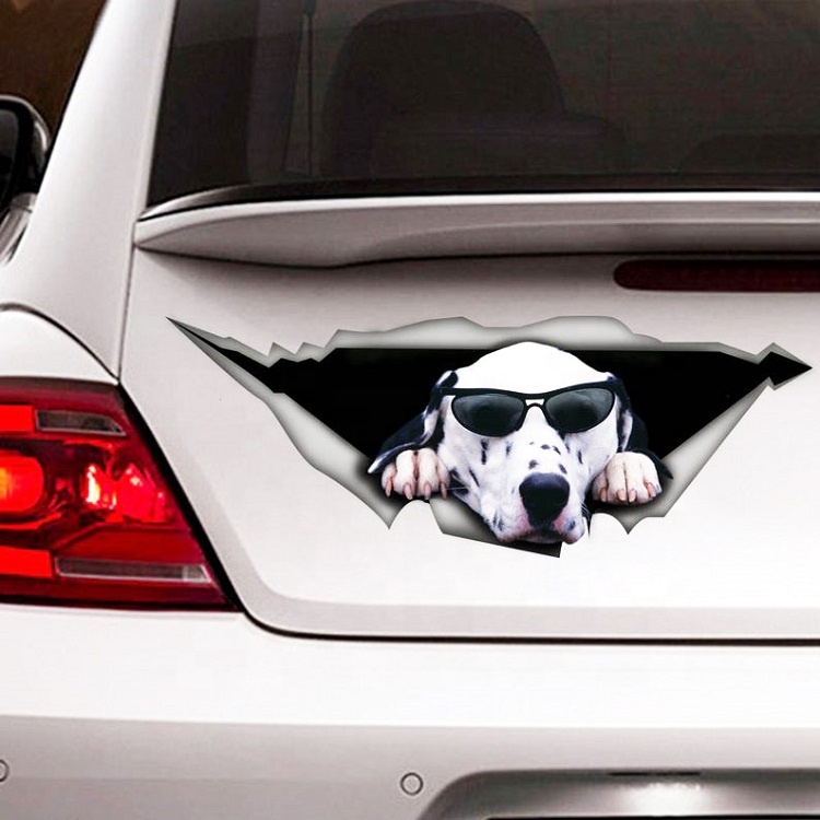 Waterproof Window Funny Camping Decals Cute Animal Decals Vinyl 3D ...