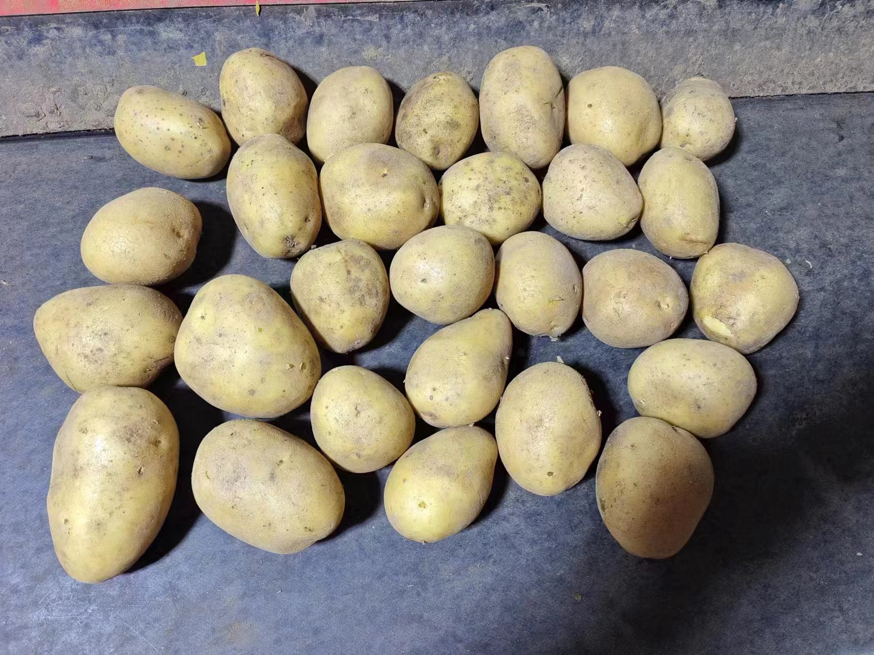 Premium Quality Fresh Potatoes for Bulk Purchase - Ideal for china 2026 ...