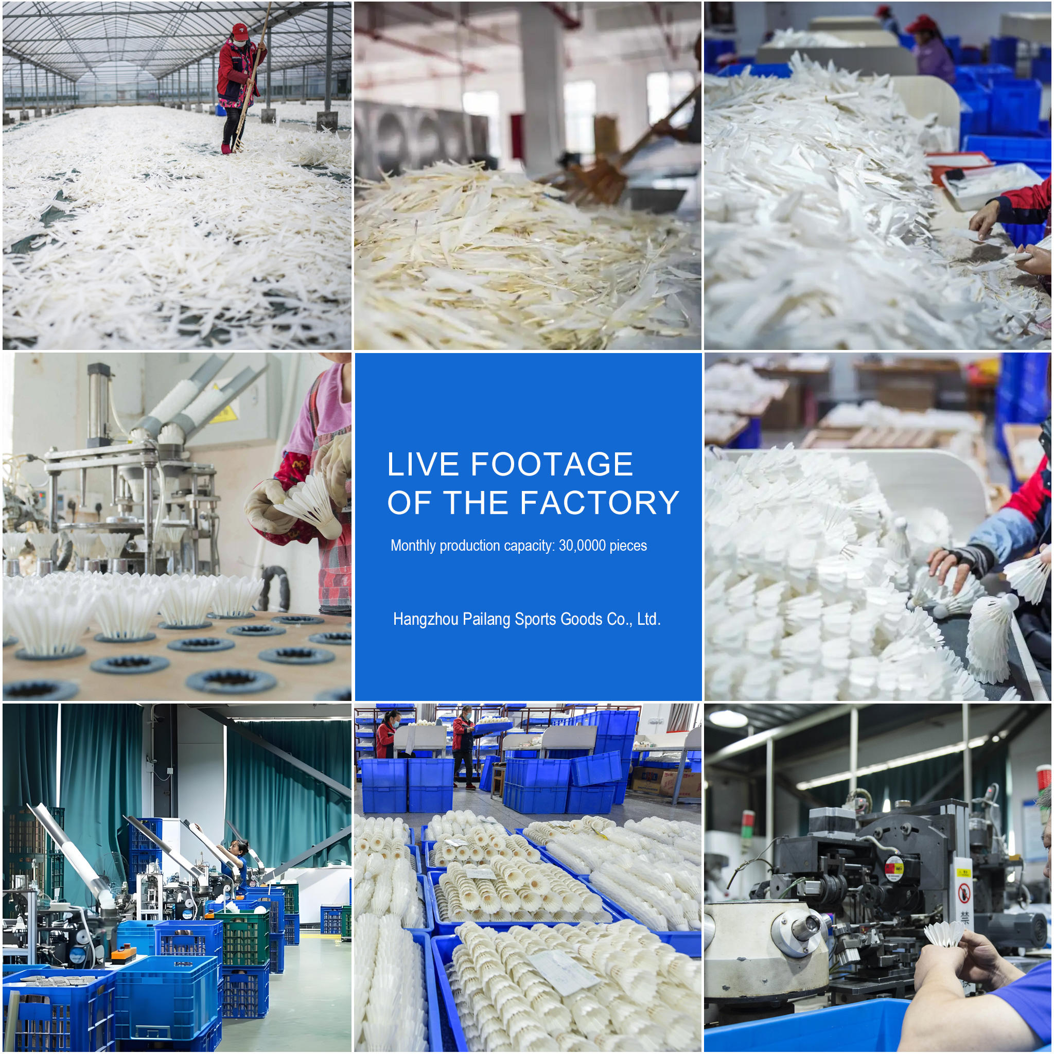 How to Choose the Best BWF Certified Shuttlecock for Competitive Play