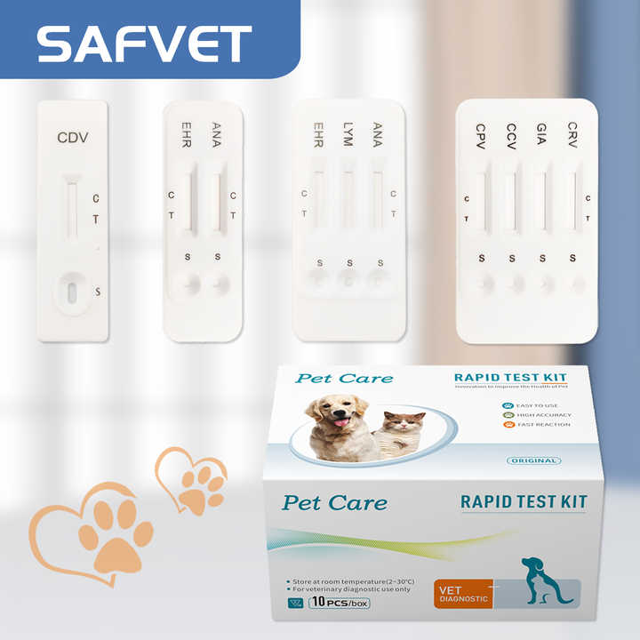 Canine Ehrlichia Anaplasma Babesia Gibsoni Combo Test Kit