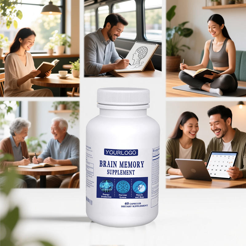 OEM/ODM Factory Supplies Alpha Brain Memory Supplements Customized ...