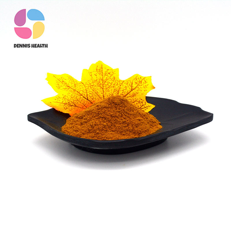 Supply Vitex Agnus Castus Extract Food Grade Chasteberry Extract Powder ...