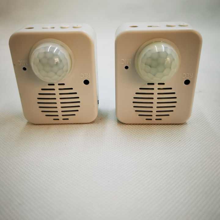 Motion PIR Sensor Pre-Recordable Sound Music Box - ZXS-16