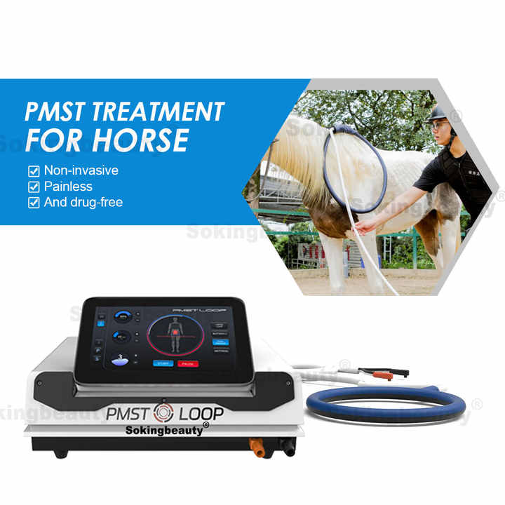 Portable Magnetic Pulser Pemf Therapy Device PMST LOOP PRO MAX PEMF ...