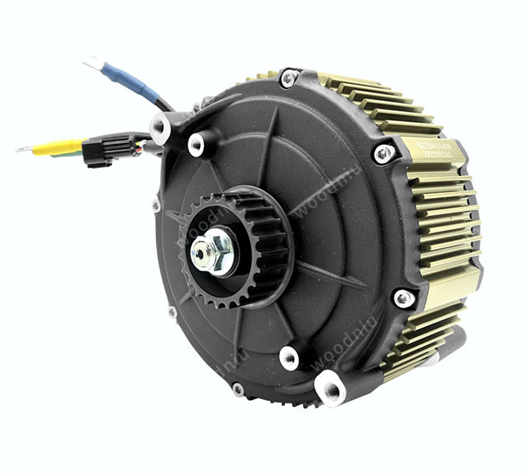 For SUR-RON Surron Light Bee Light Bee X Motor Electric Engine Dirtbike ...