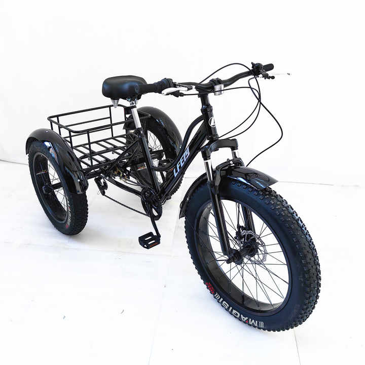 2024 Recumbent Bicycle - 3 Wheel Rickshaw Tricycle for Adults