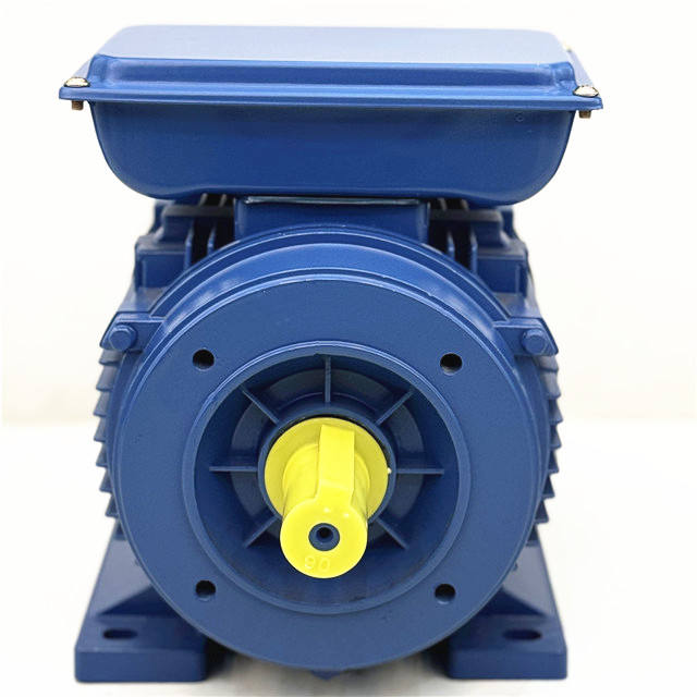 220v AC Single Phase Motor for Meat Grinder - Seenly Motors