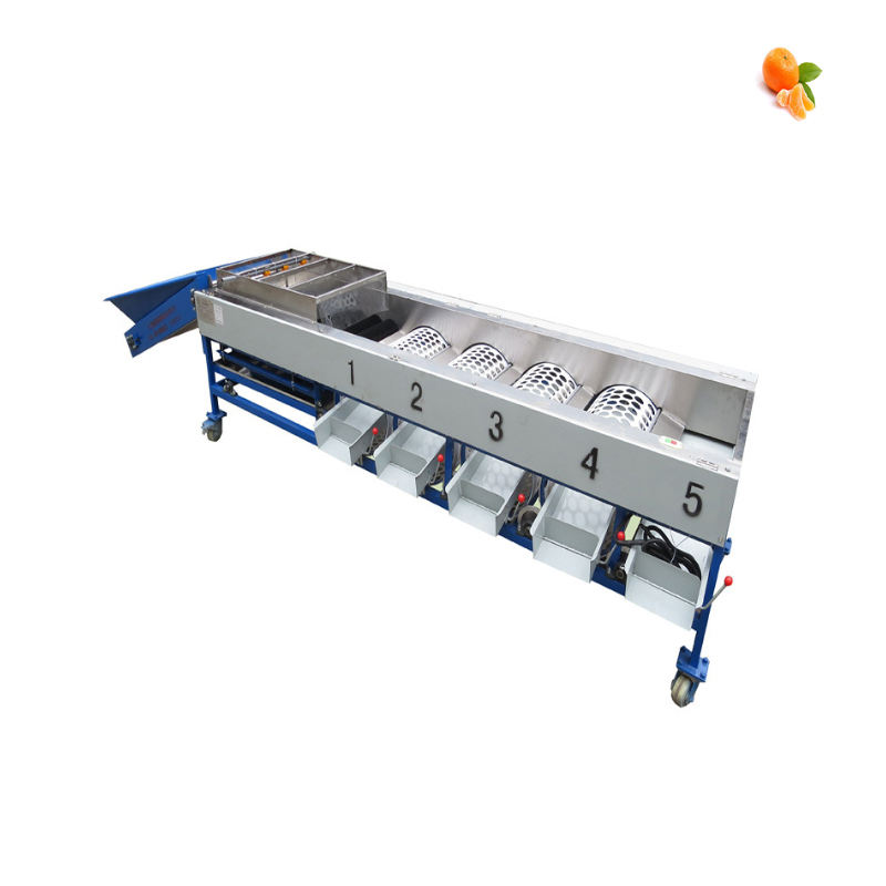 Blueberry Sorting Machine Fruit Sorting Calibrating Machine mango Fruit ...