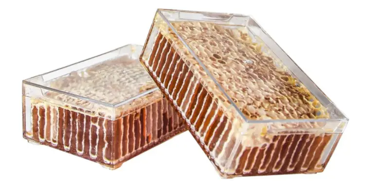 250/500g Plastic Comb Honey Frames and Cassettes Set Honeycomb Making ...