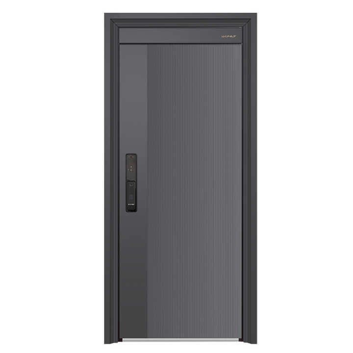 Contemporary Modern Steel Security Door Windproof and Finished with ...