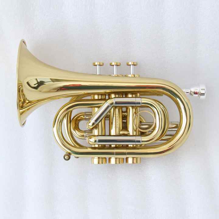 Gold Brass Body FPT-300L Pocket Trumpet with 7C Mouthpiece & Case OEM