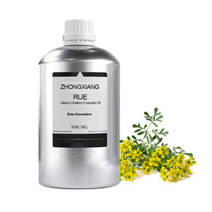 Aromatic rue herb For Extra Taste - Alibaba.com