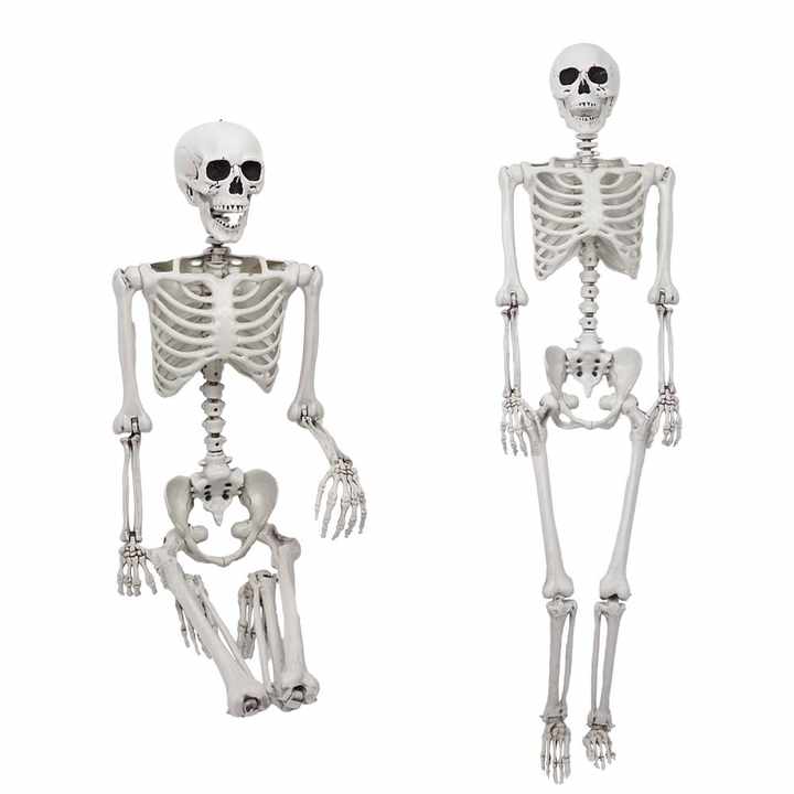 6ft 185cm Pose Skeleton Prop - Realistic Halloween Decor