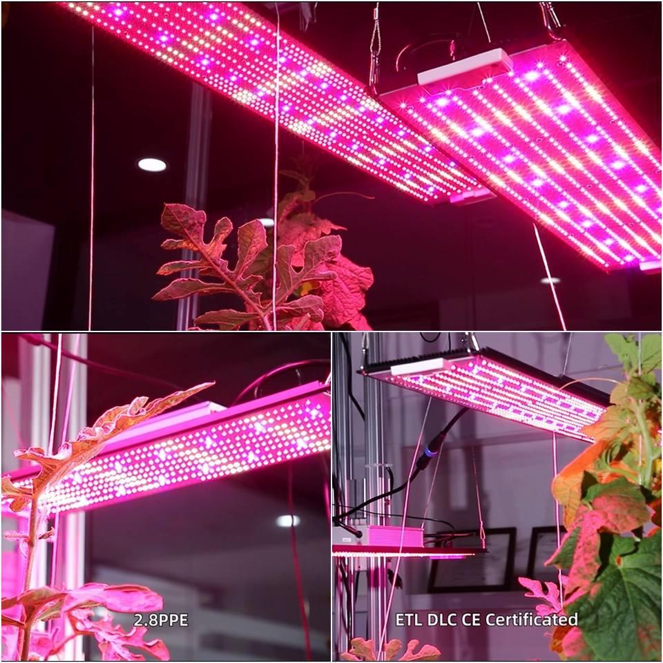 2026 Longood Factory ETL DLC CE 150W 320W 400W Aluminum Alloy Body ...