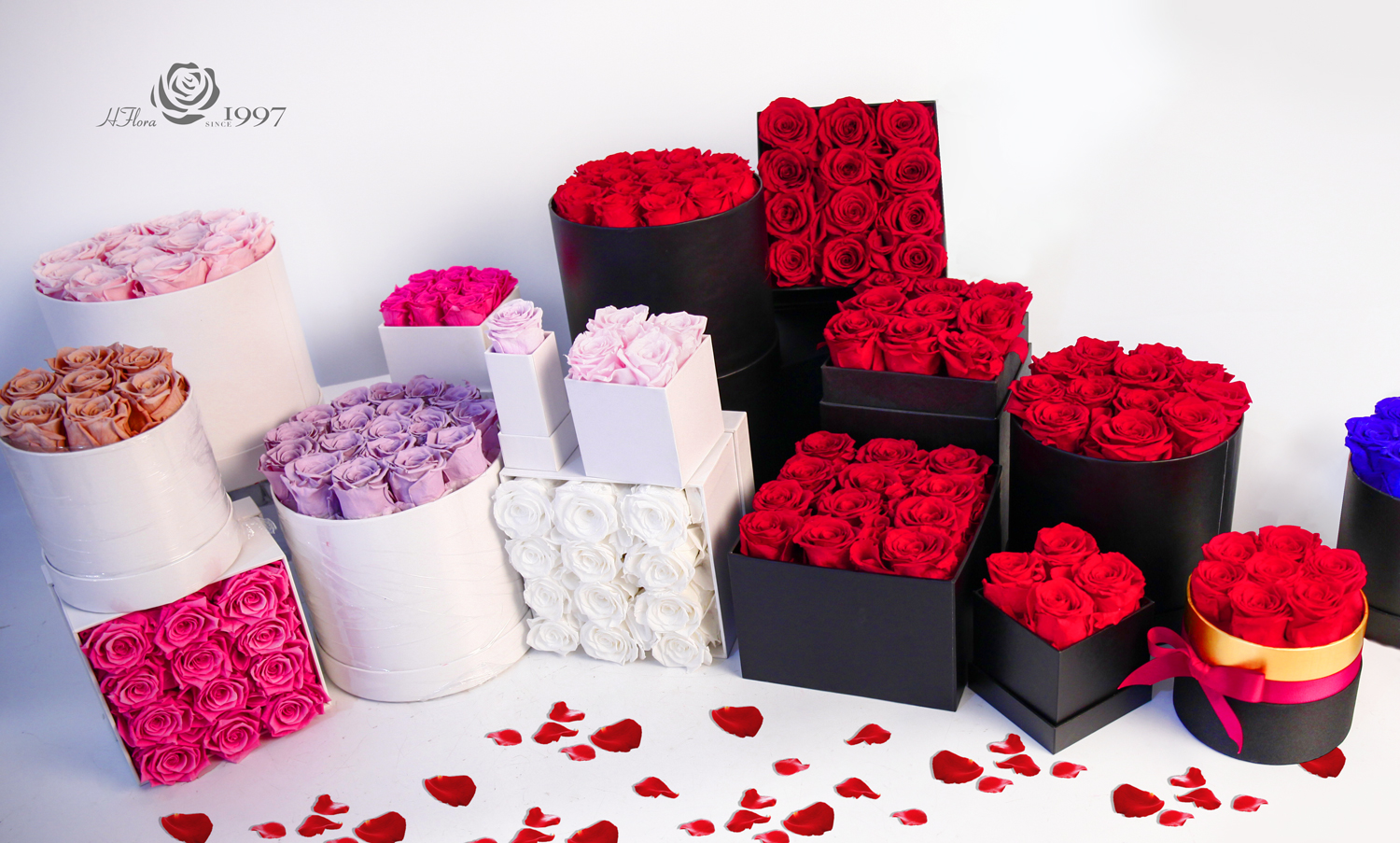 How to Choose Preserved Flowers with Vade: A Complete Buying Guide