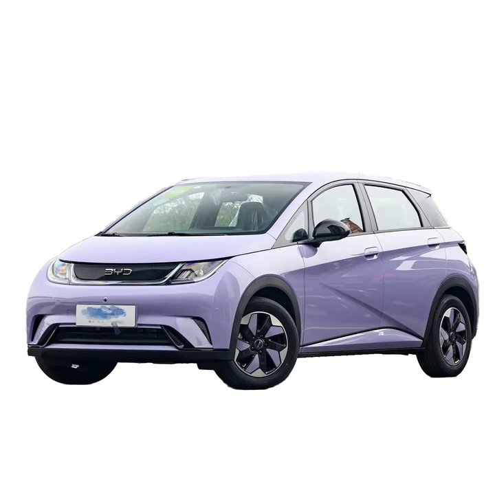 rokay BYD Seagull Taro Mud Purple Used Cars New Energy Vehicle From ...