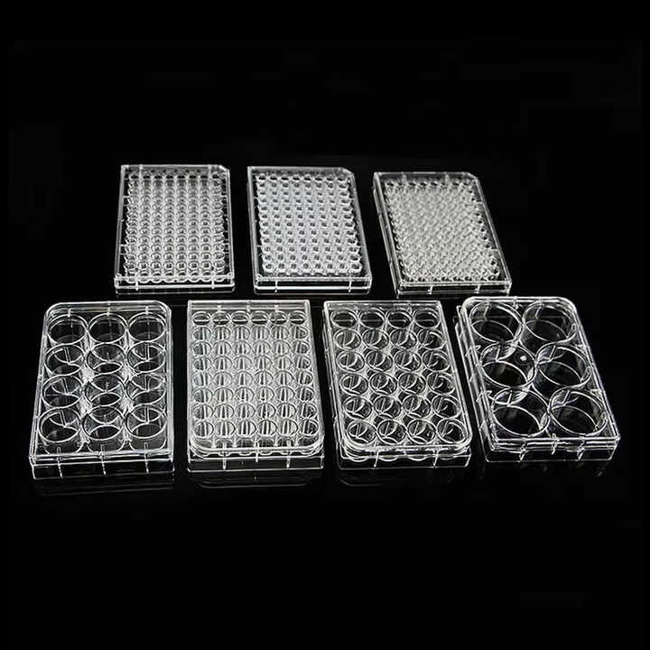 Cotaus Disposable Transparent Plastic Cell Culture Plate 6well 12 Well ...