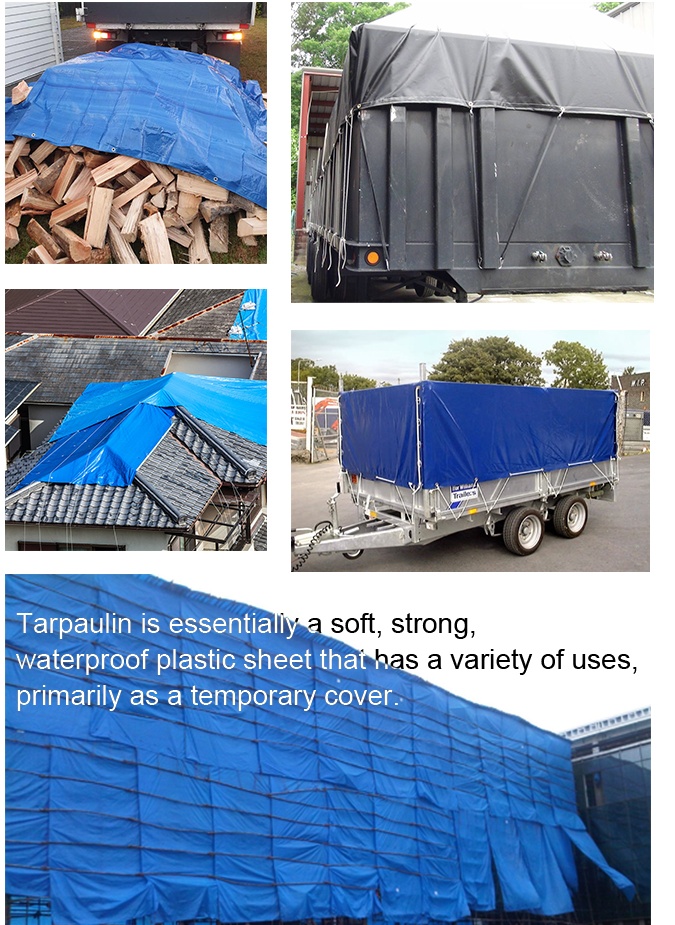 Customized Color Size Pvc Tarpaulin Rolls 200gsm Heavy Duty Waterproof ...