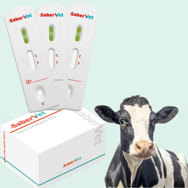 SaberVet OEM&ODM Vet test Diagnostic test Kit Animal Pregnancy Rapid ...