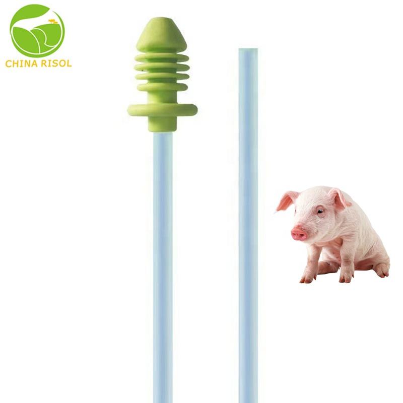 Plastic Disposable Pig Artificial Insemination Catheter with Silicone ...