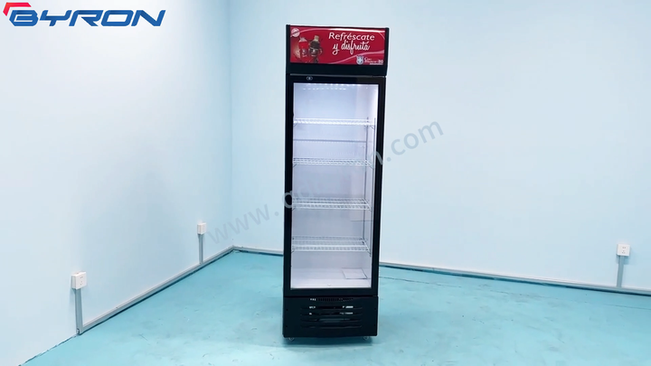 Comercial Display Fridge Freezer Refrigerator Display Cooler Beverage ...