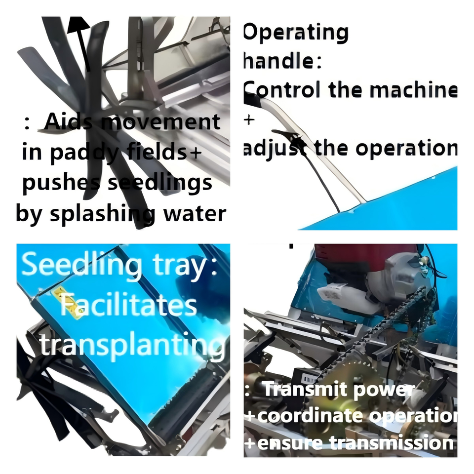 High-efficiency Gasoline Powered Rice Transplanter