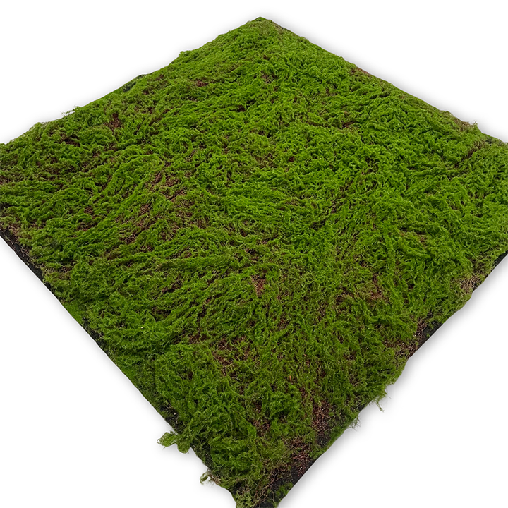 Factory wholesale moss cloth, artificial moss turf, simulated moss ...