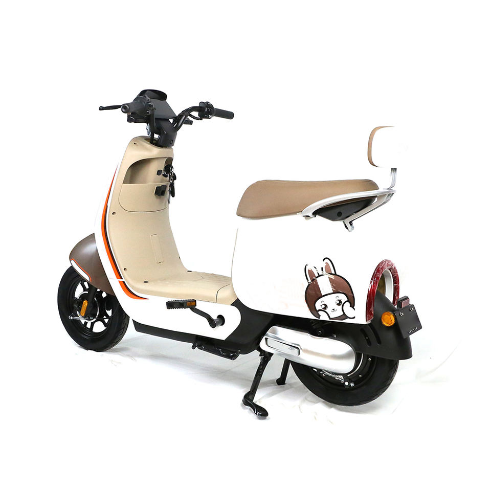 2024 Electric City Bike - 450W Step through Motorcycle