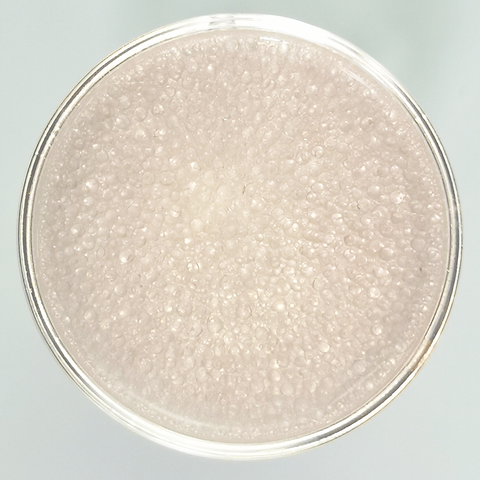 Capsulets, Capsulets direct from Chongqing Pellets Biotech Co., Ltd. in CN