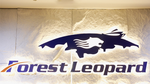 公司概述 - Forest Leopard International Logistics Co., Ltd.