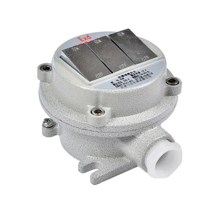 Explosion-proof Lighting Switch Professional Factory Safety Transfer ...