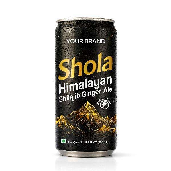 Shola Shilajit Flavored Sparkling Soda Drink with Carbonation and ...