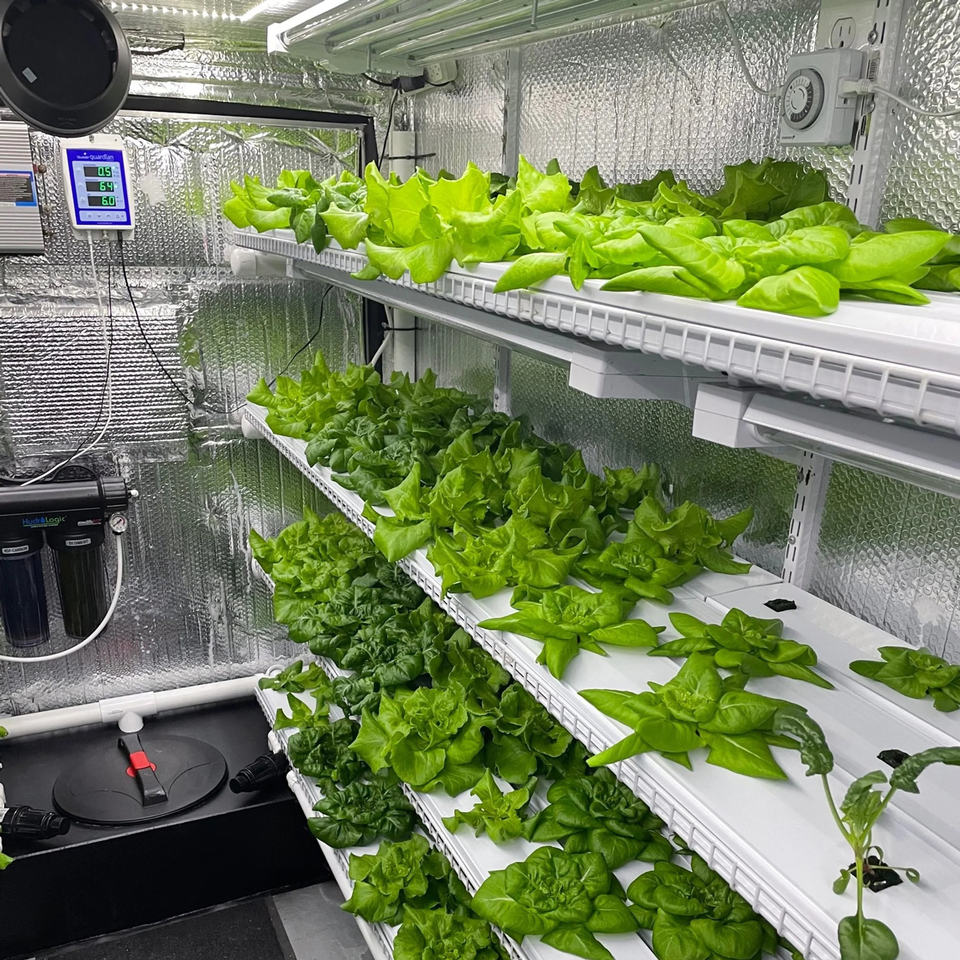 Turnkey Project Automatic Mushroom Farming System Hydroponic Growing ...