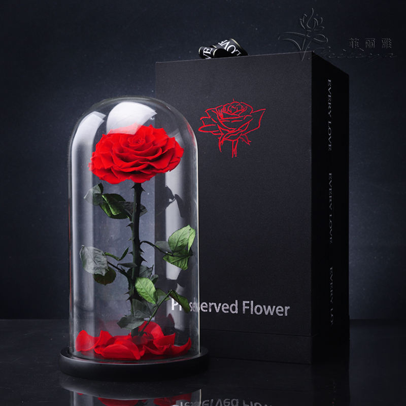 How to Choose the Best Glass Cover Box: A Complete Buying Guide