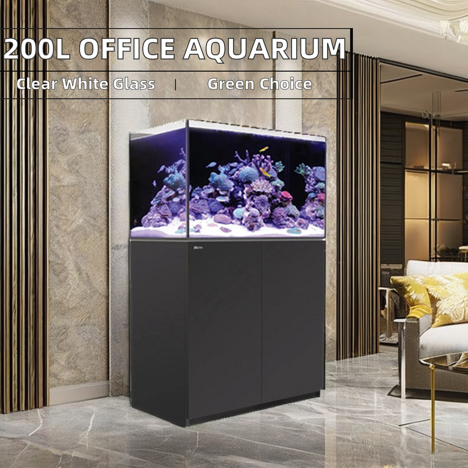 Modern Eco-Friendly 200L Ultra White Glass Fish Tank Home Office Wet ...