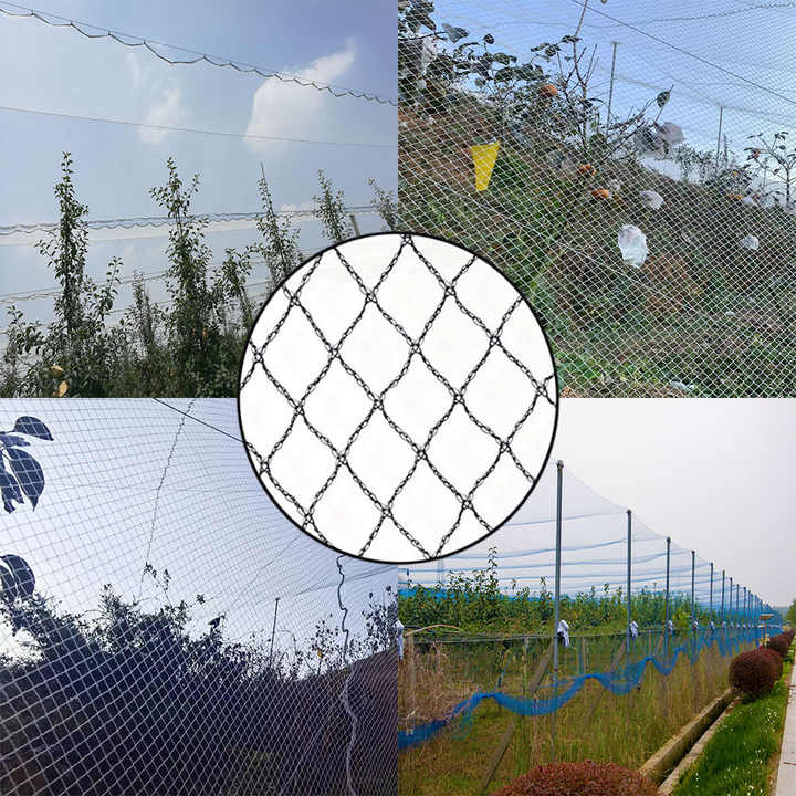 Agricultural Hdpe Anti Bird Nets for Catching Birds Netting for Farm ...
