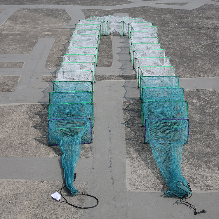 Crab Farming Boxes - High Quality RAS System Solution