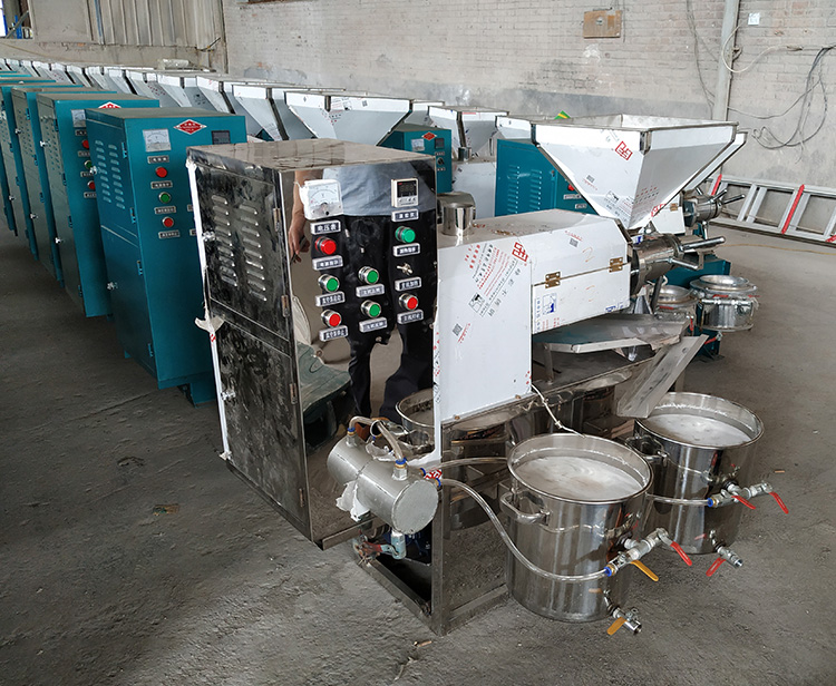 Shop Online Moringa Oil Extraction Machine Customizable & Hydraulic ...