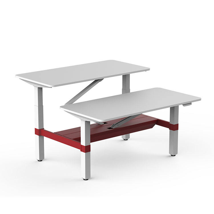 ZGO Ergonomic Dual Motor Sit Stand Adjustable Standing Desk Electric ...