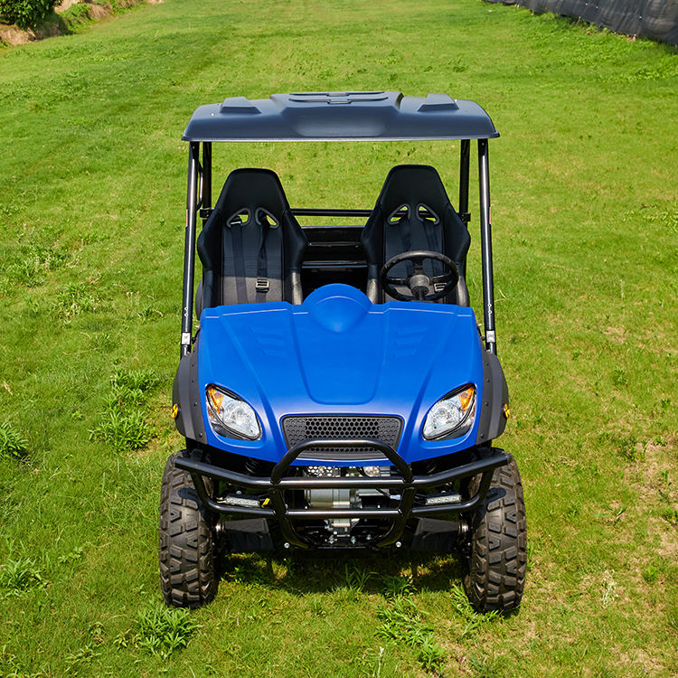 Customized EEC 4x4 Electric UTV - Ideal for Farm & Adventure