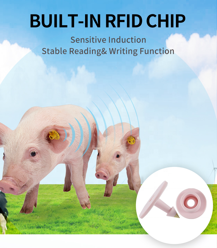 New UHF002 UHF RFID TPU CASHT Brand Ear Tags for Pig Livestock ...