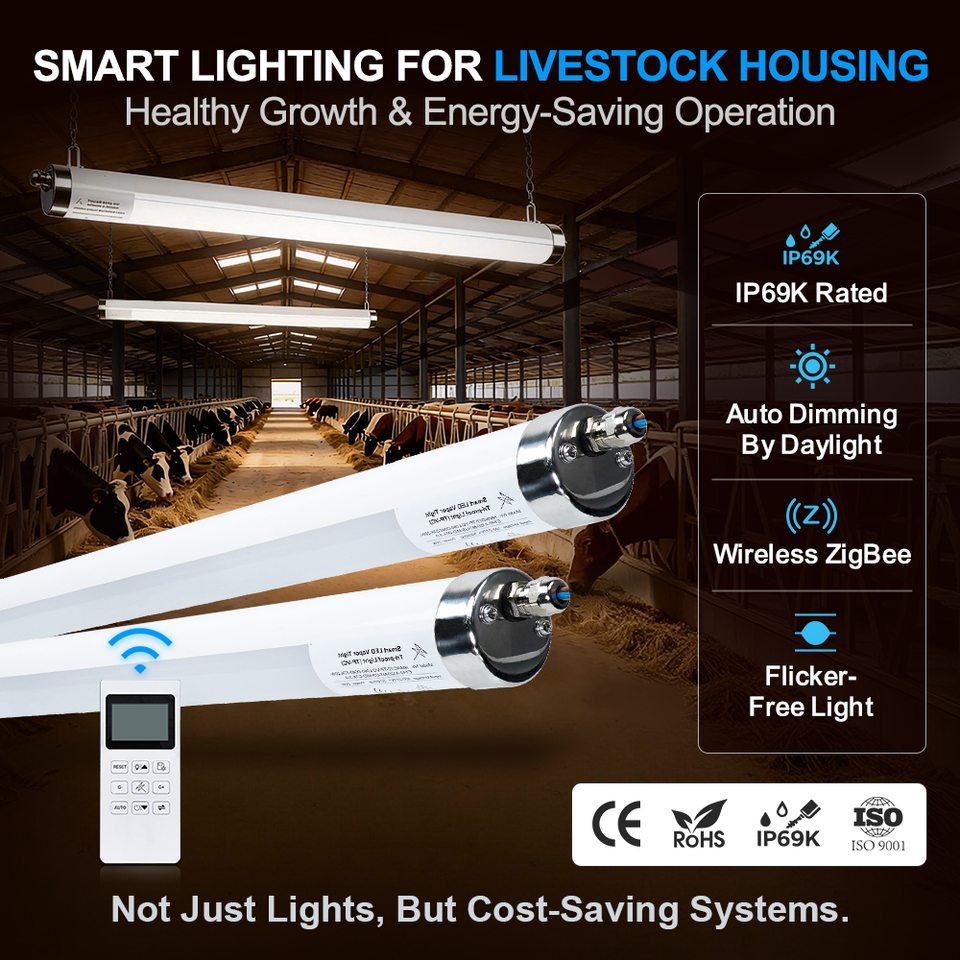 Smart IP69K Tri-proof Light Solutions with Remote Control for ...