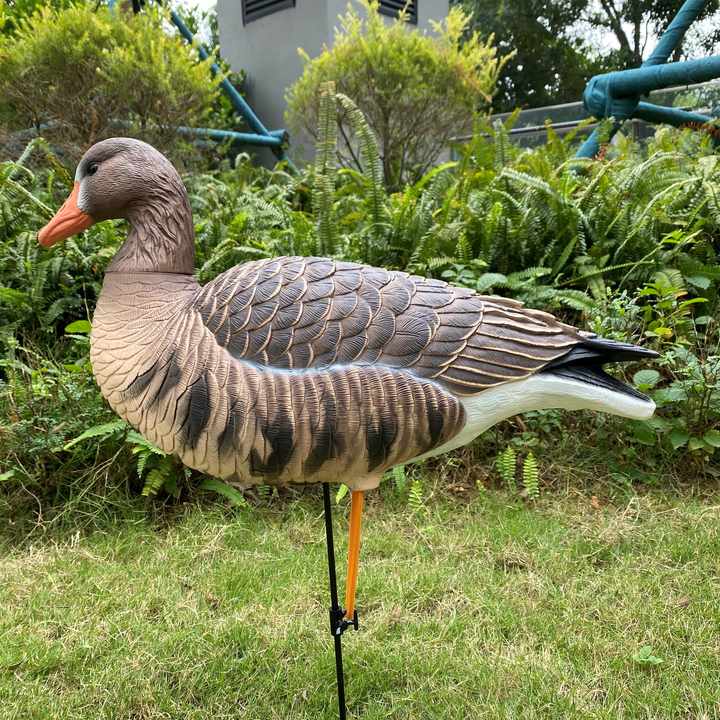 Hunting Plastic Custom Goose Avian X Decoys - Best Price