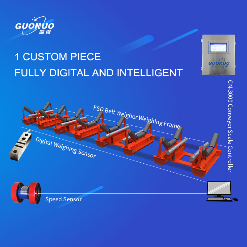 Fully Digital Intelligent Electronic Belt Scale AI Recognition Reduces ...