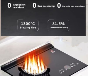 Plasma Cooktops - Efficient Kitchen Use Electric Stoves