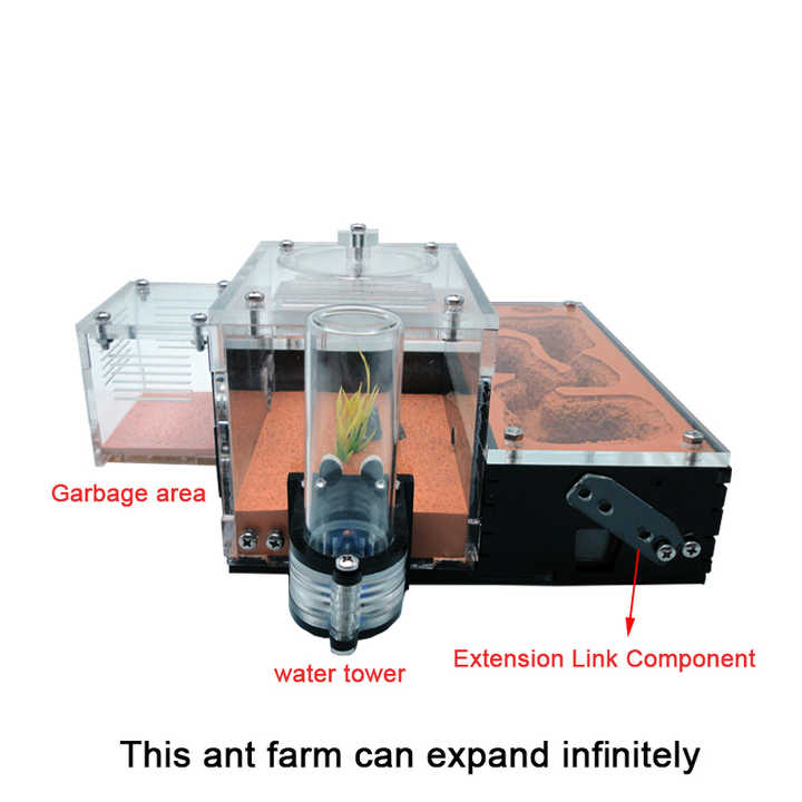 Ant Queen Breeding Area - Anthill Castle Ant House