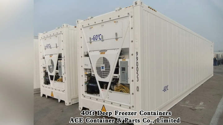 Minus 60 Degree Fresh Tuna Storage - Thermo King 40ft Reefer