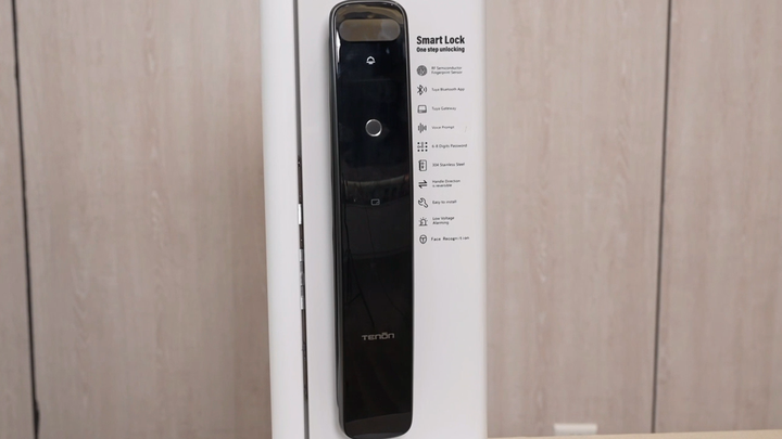 Push Pull Electronic Tuya Face Recognition Door Lock Biometric ...